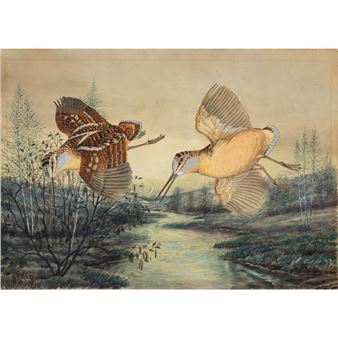Rex Brasher | Woodcock Alighting | MutualArt