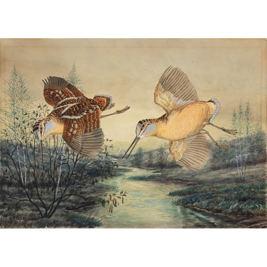 Rex Brasher | Woodcock Alighting | MutualArt