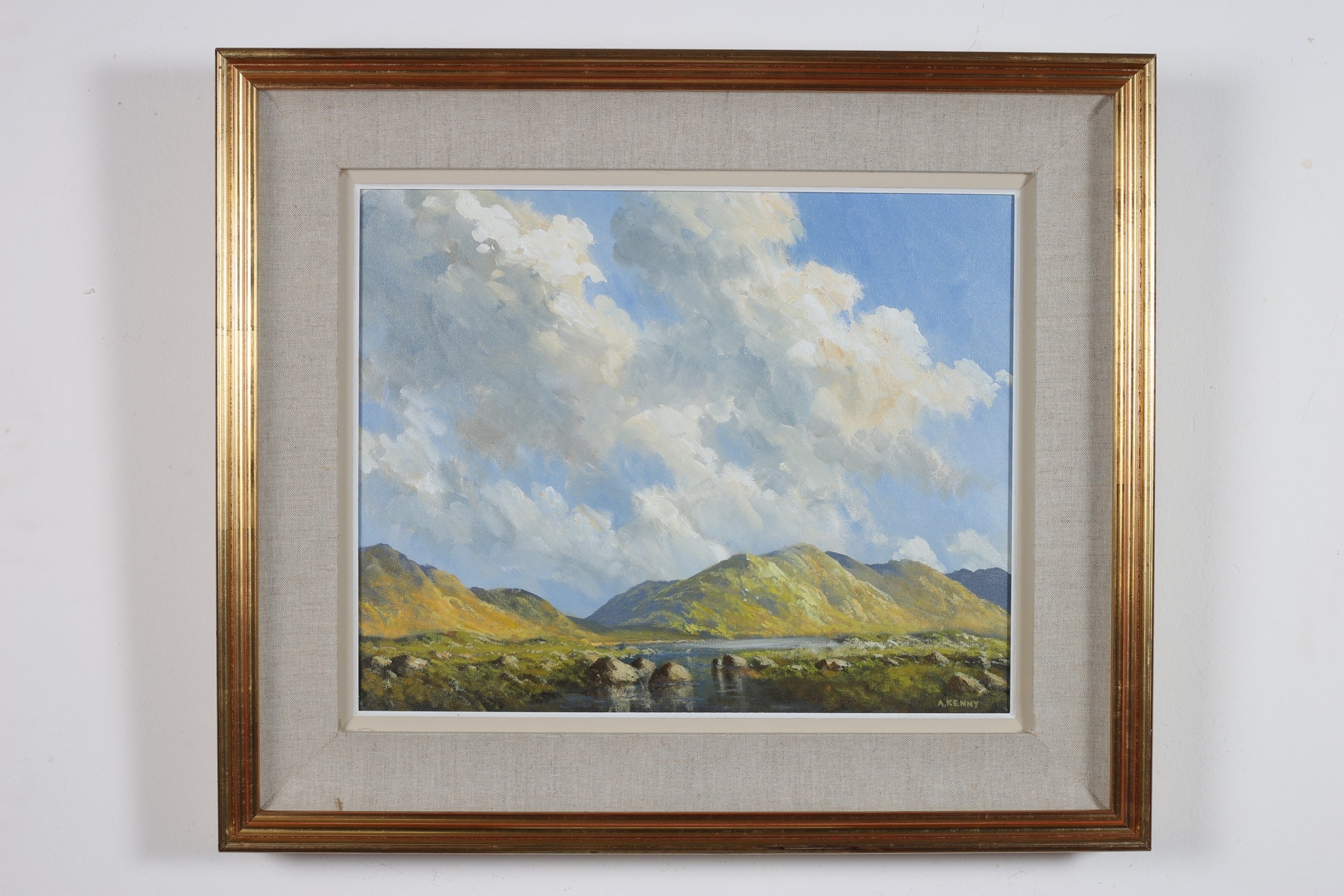 Alan Kenny | West of Ireland Landscape | MutualArt