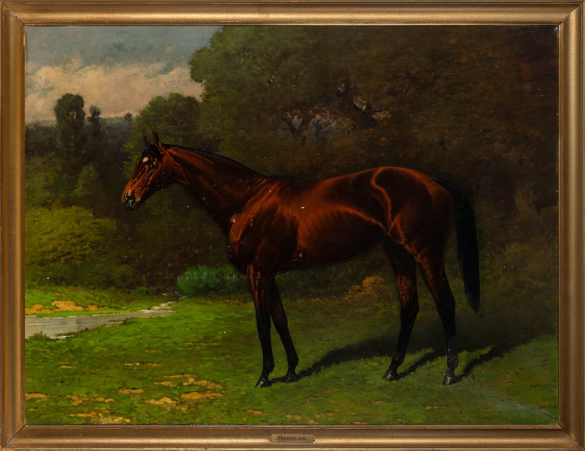 Henry Stull | Meddler (1898) | MutualArt