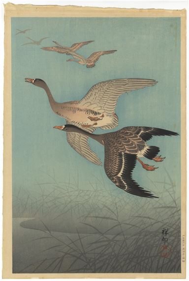Koson Ohara | Wild Geese (1926) | Compare similar artworks | MutualArt
