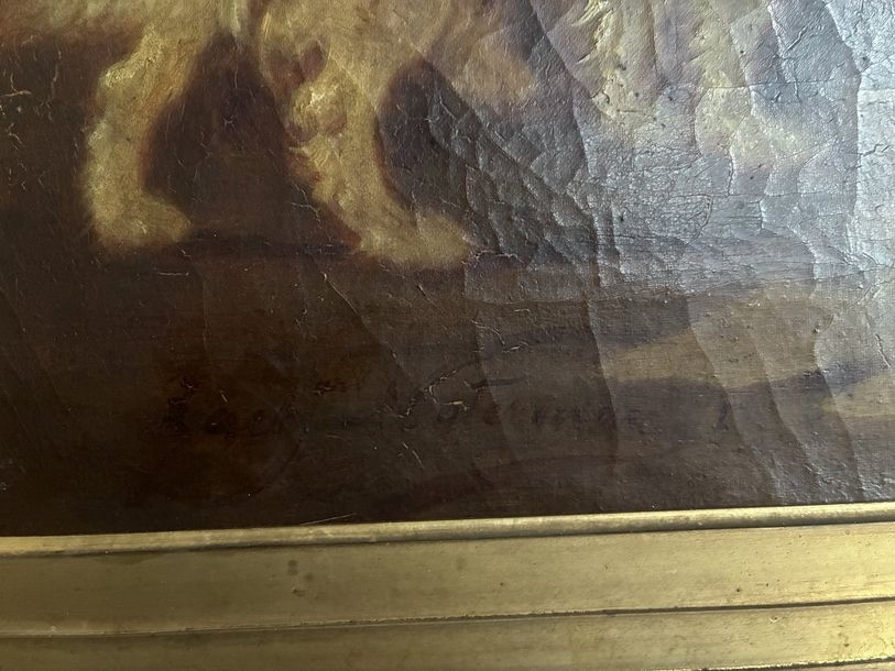 Zacharie Noterman | Monkey and dogs | MutualArt