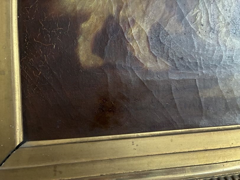 Zacharie Noterman | Monkey and dogs | MutualArt