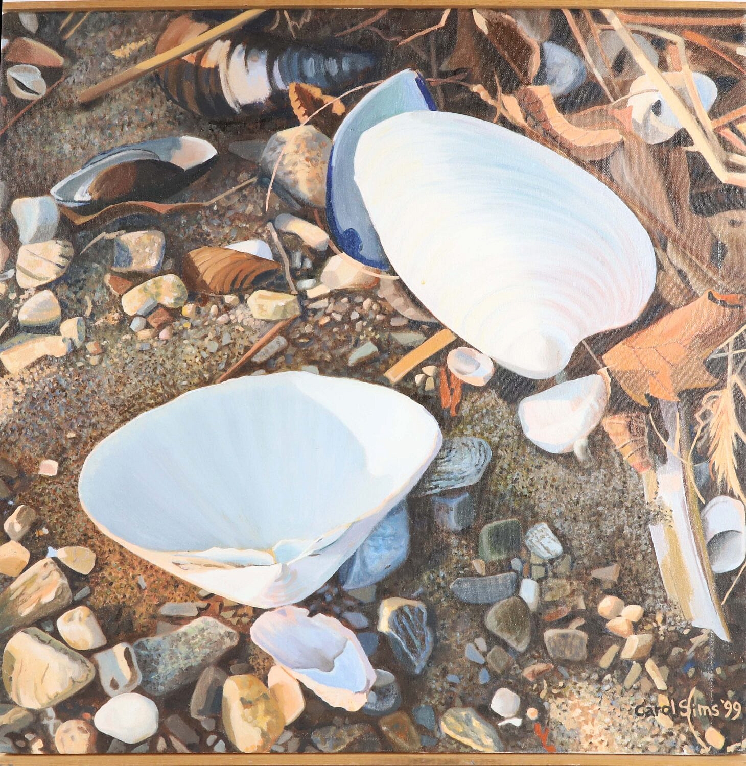 Carol Sims | Sea Shells (99) | MutualArt