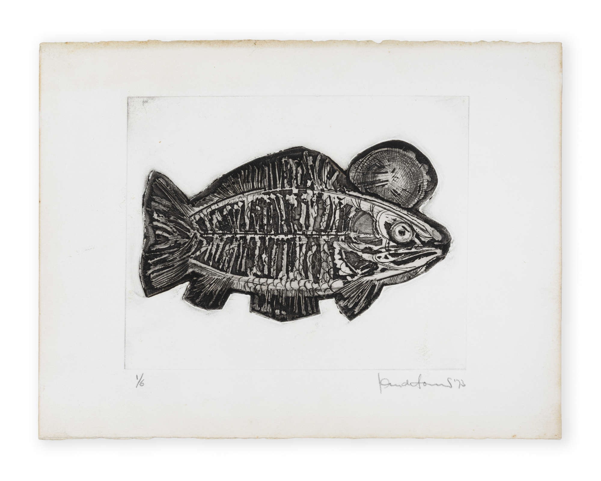 Jan de Fouw | Fish | MutualArt
