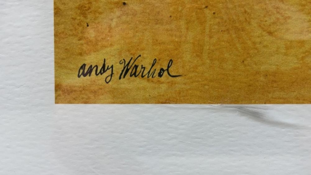 Andy Warhol | So Sunny | MutualArt