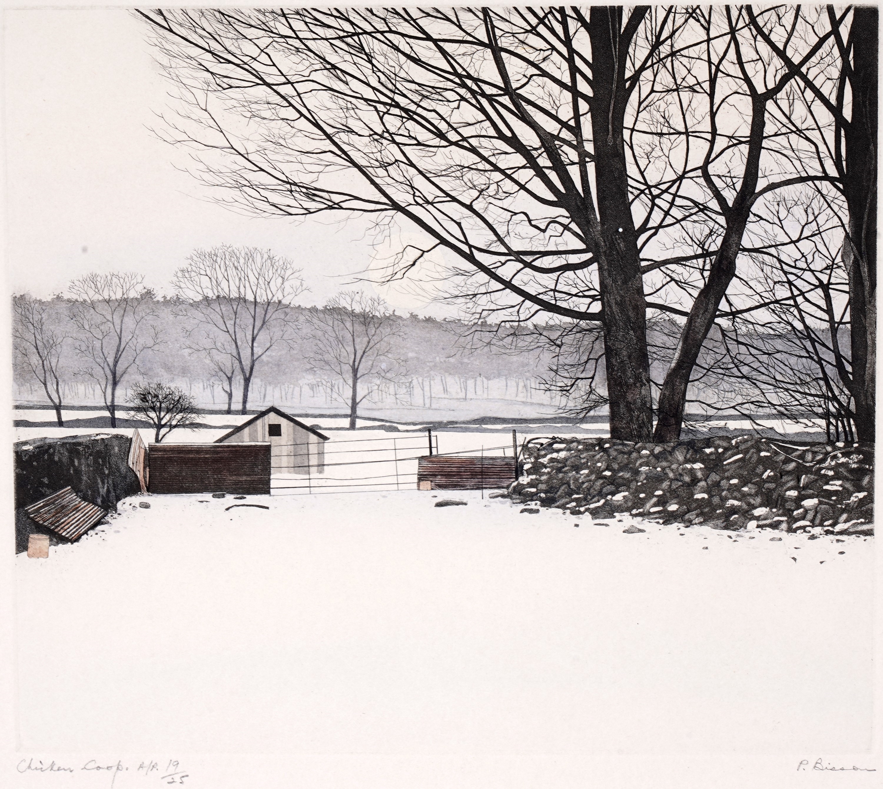 Paul Bisson | Chicken Coop | MutualArt
