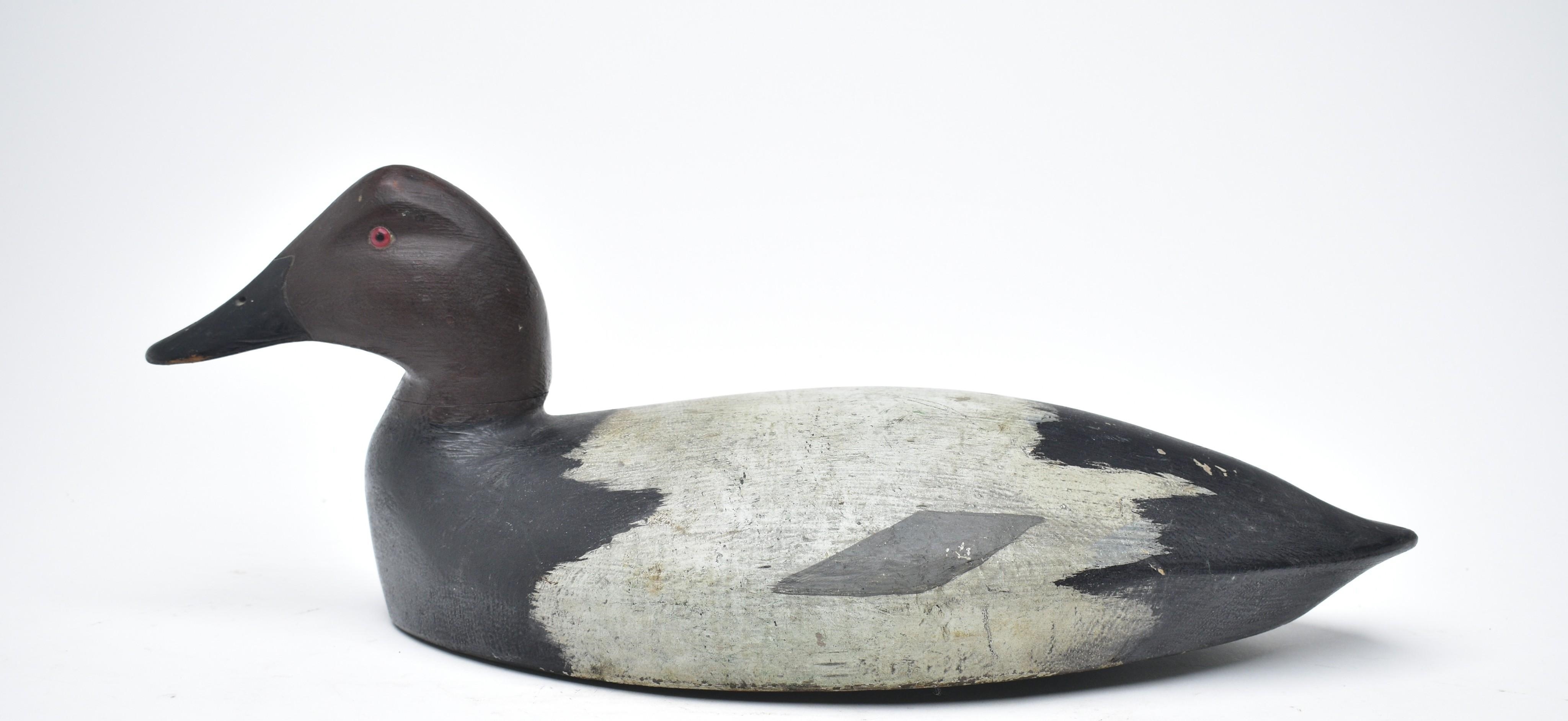 Sam Denny | Canvasback with typical eye groove carving, measures 17 ...