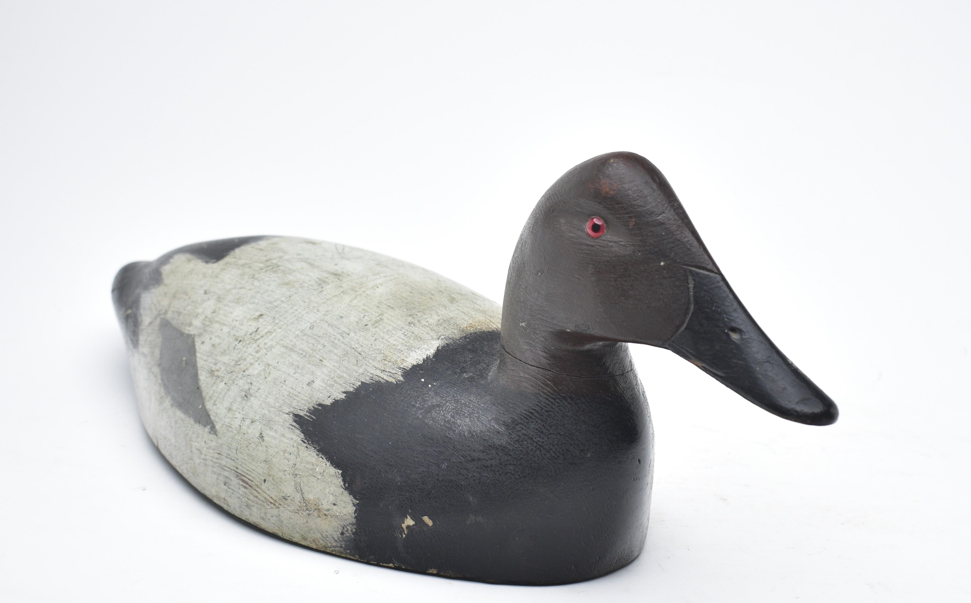 Sam Denny | Canvasback with typical eye groove carving, measures 17 ...
