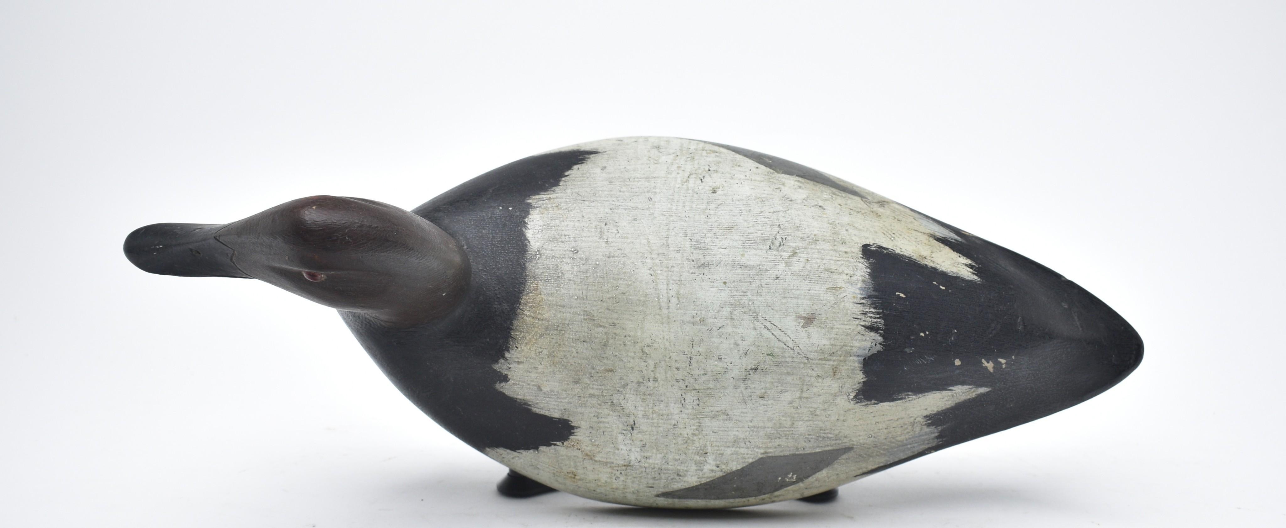 Sam Denny | Canvasback with typical eye groove carving, measures 17 ...
