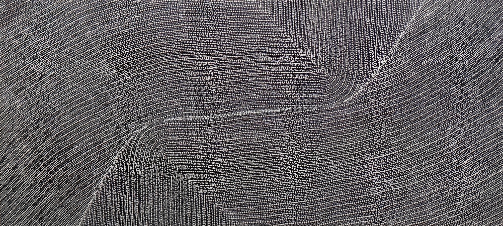 Nancy Martin Napanardi | Bush Onion (2024) | MutualArt