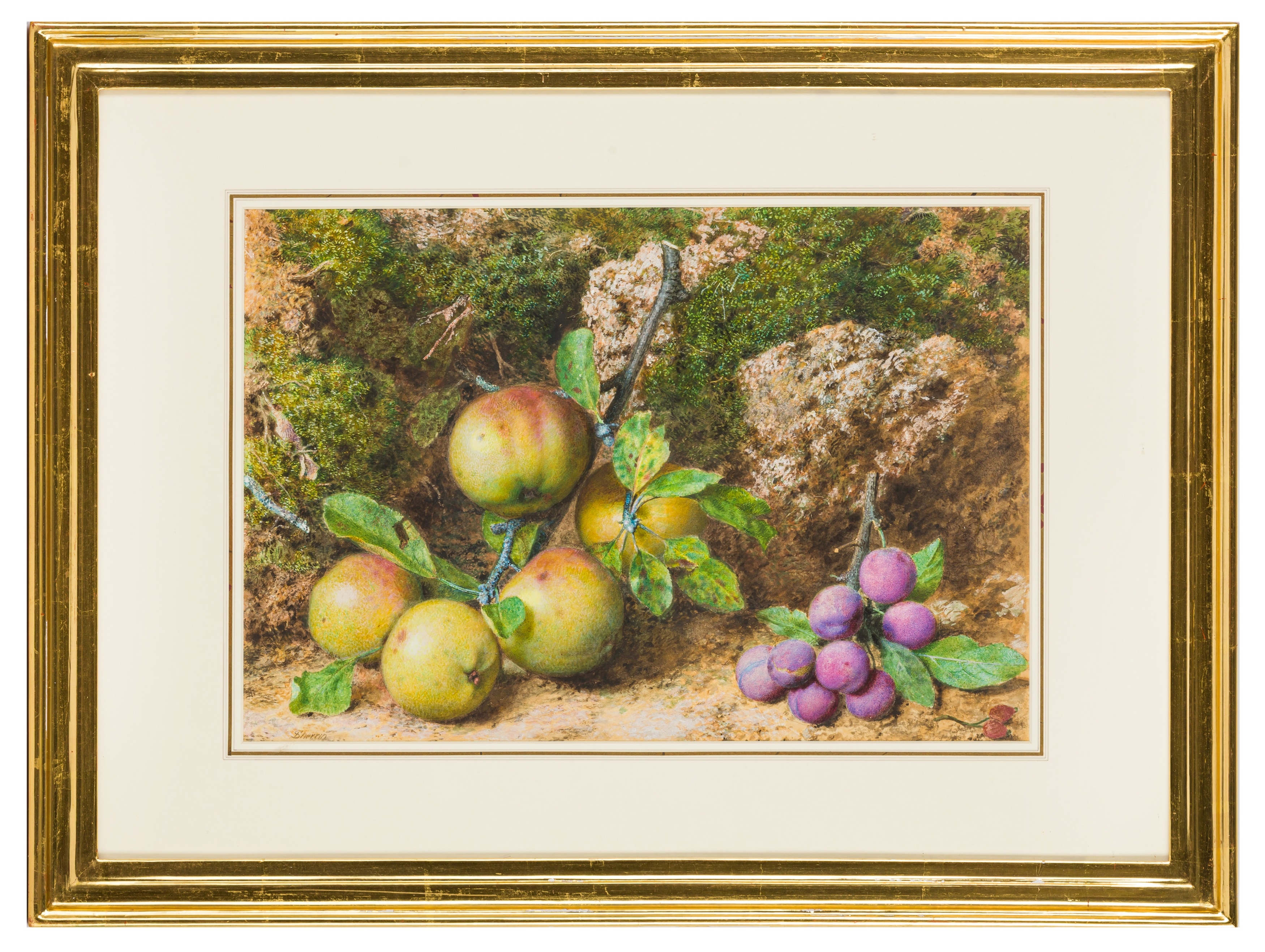 John Sherrin | Apples and Plums | MutualArt