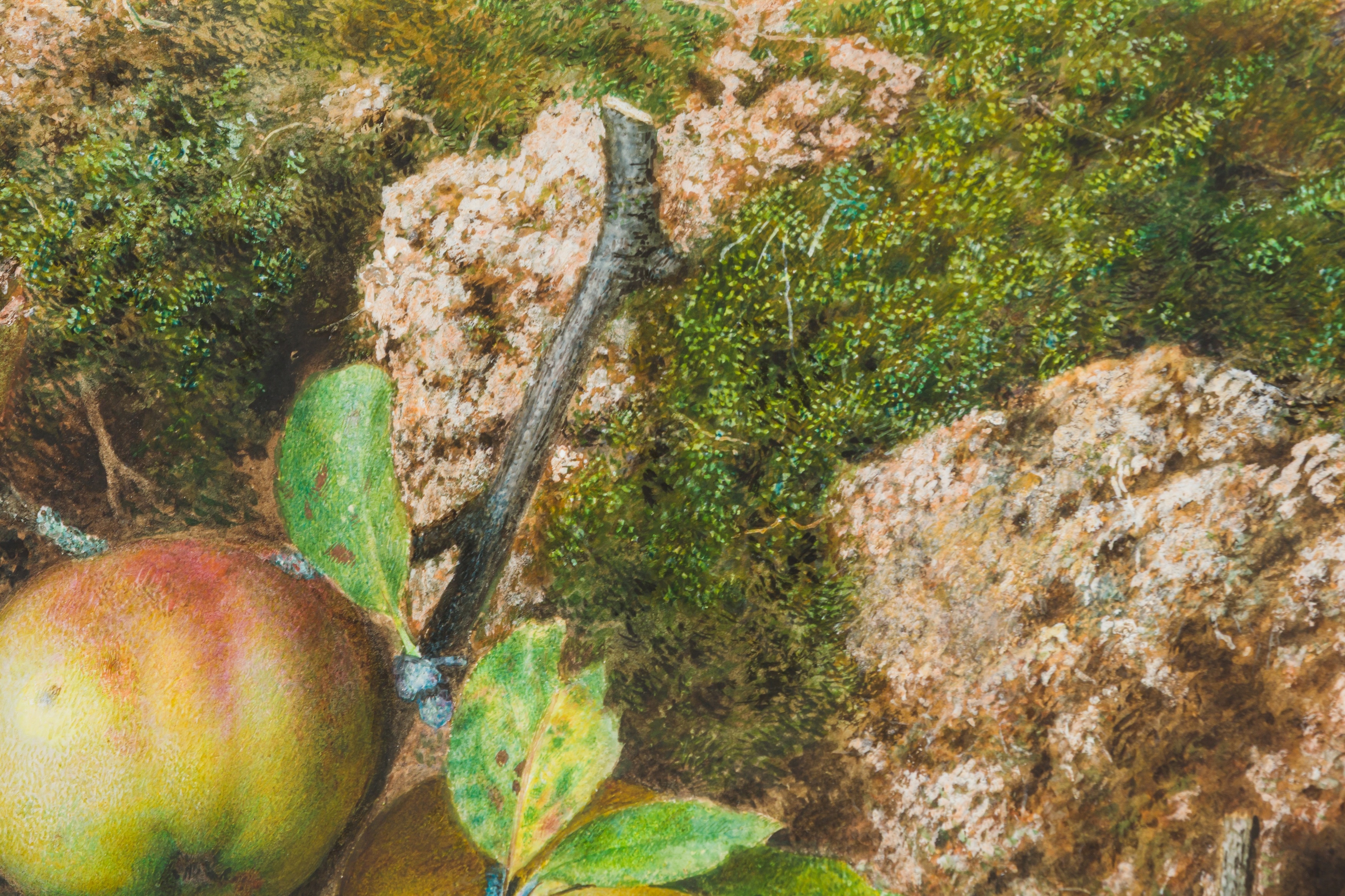 John Sherrin | Apples and Plums | MutualArt