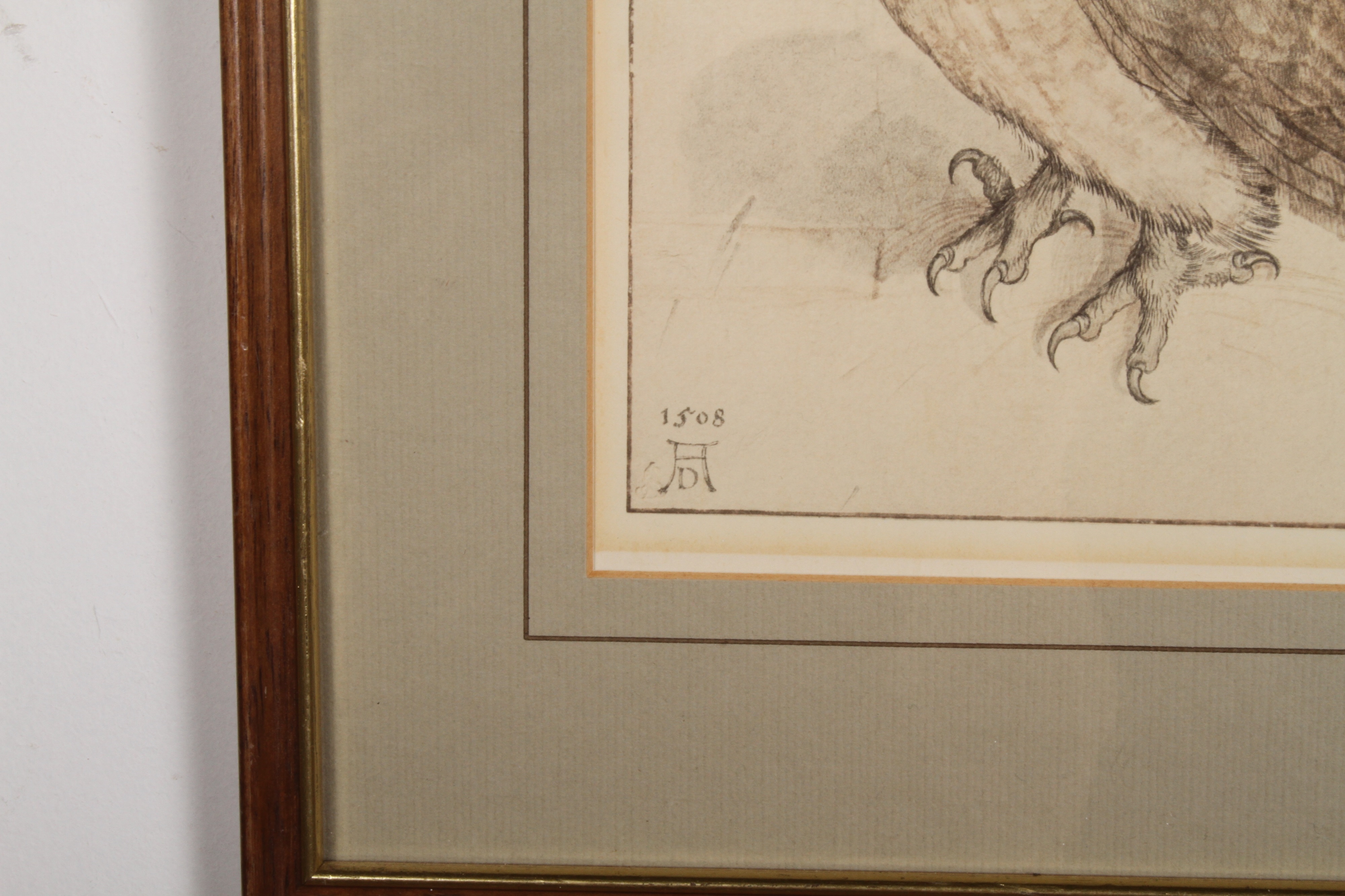 Albrecht Dürer | Owl | MutualArt