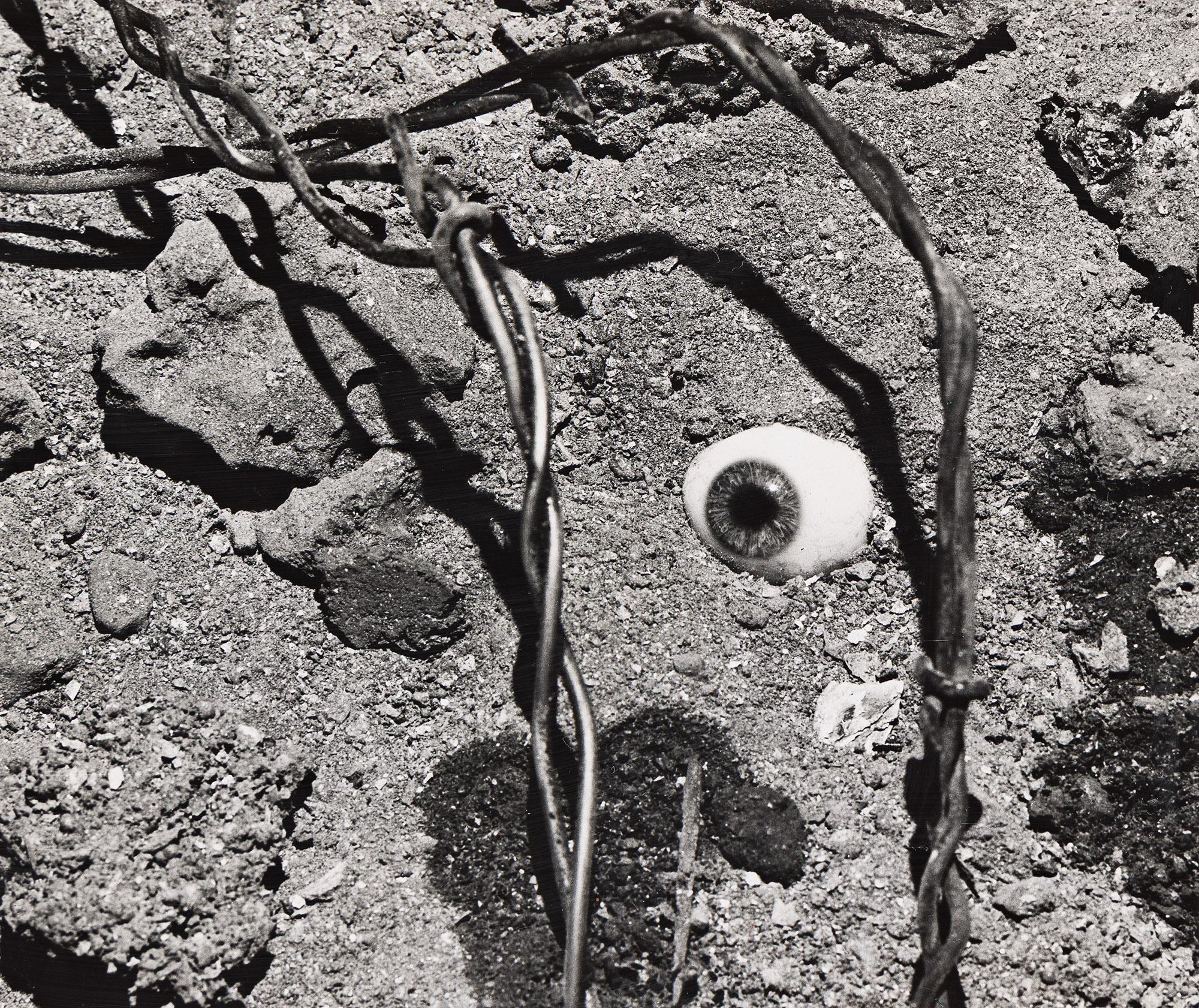 Nathan Lerner | Eye and Barbed Wire | MutualArt