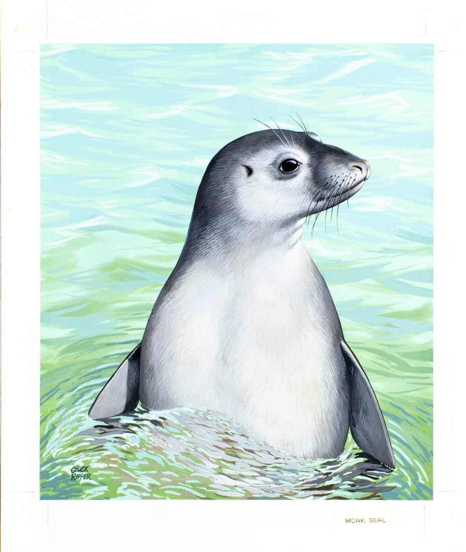 Chuck Ripper | Monk Seal (1993) | MutualArt