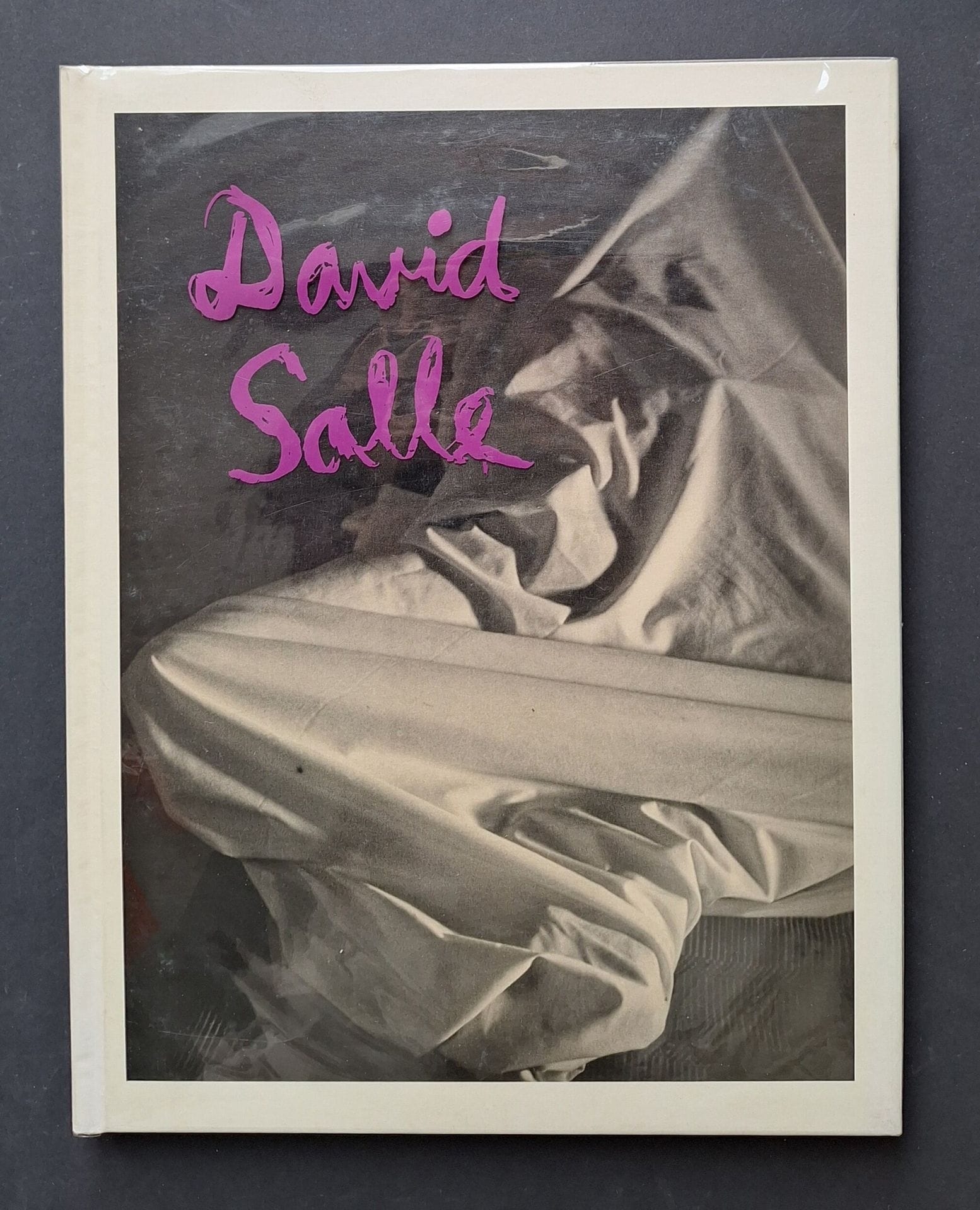 David Salle | Photographs 1980 to 1990 | MutualArt