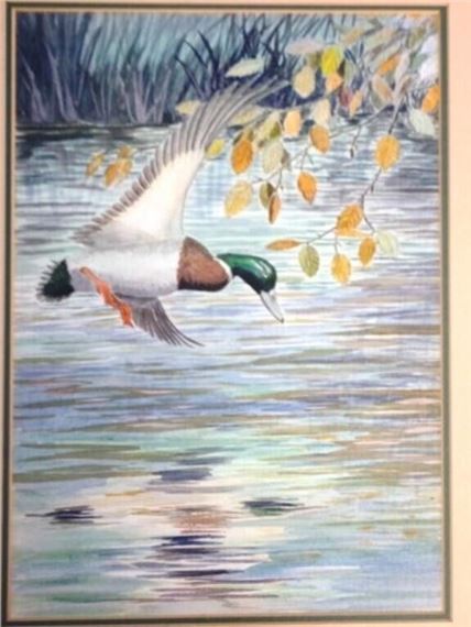John Cameron Duncan | Duck | MutualArt
