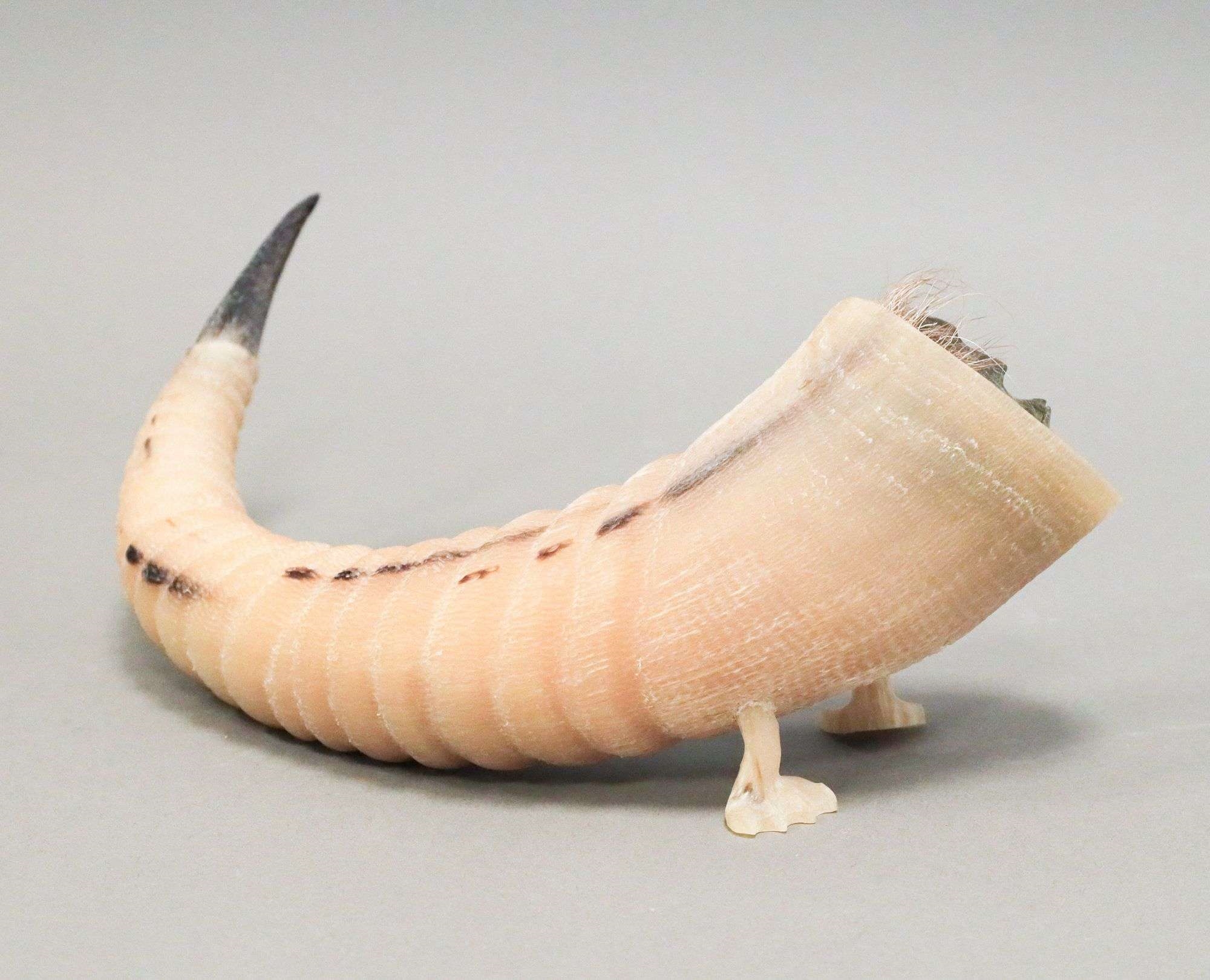 Daniel Shimout | SEA CREATURE (2011) | MutualArt
