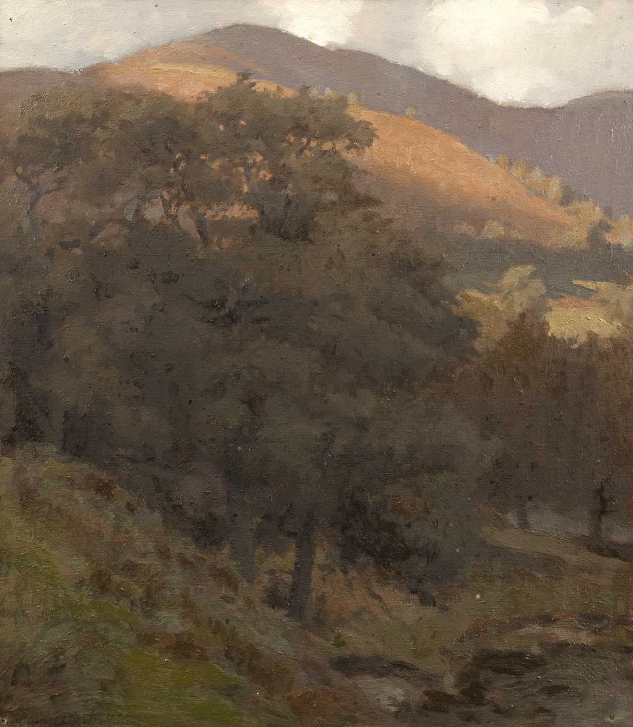 Woodford David | Landscape with trees | Compare similar artworks ...