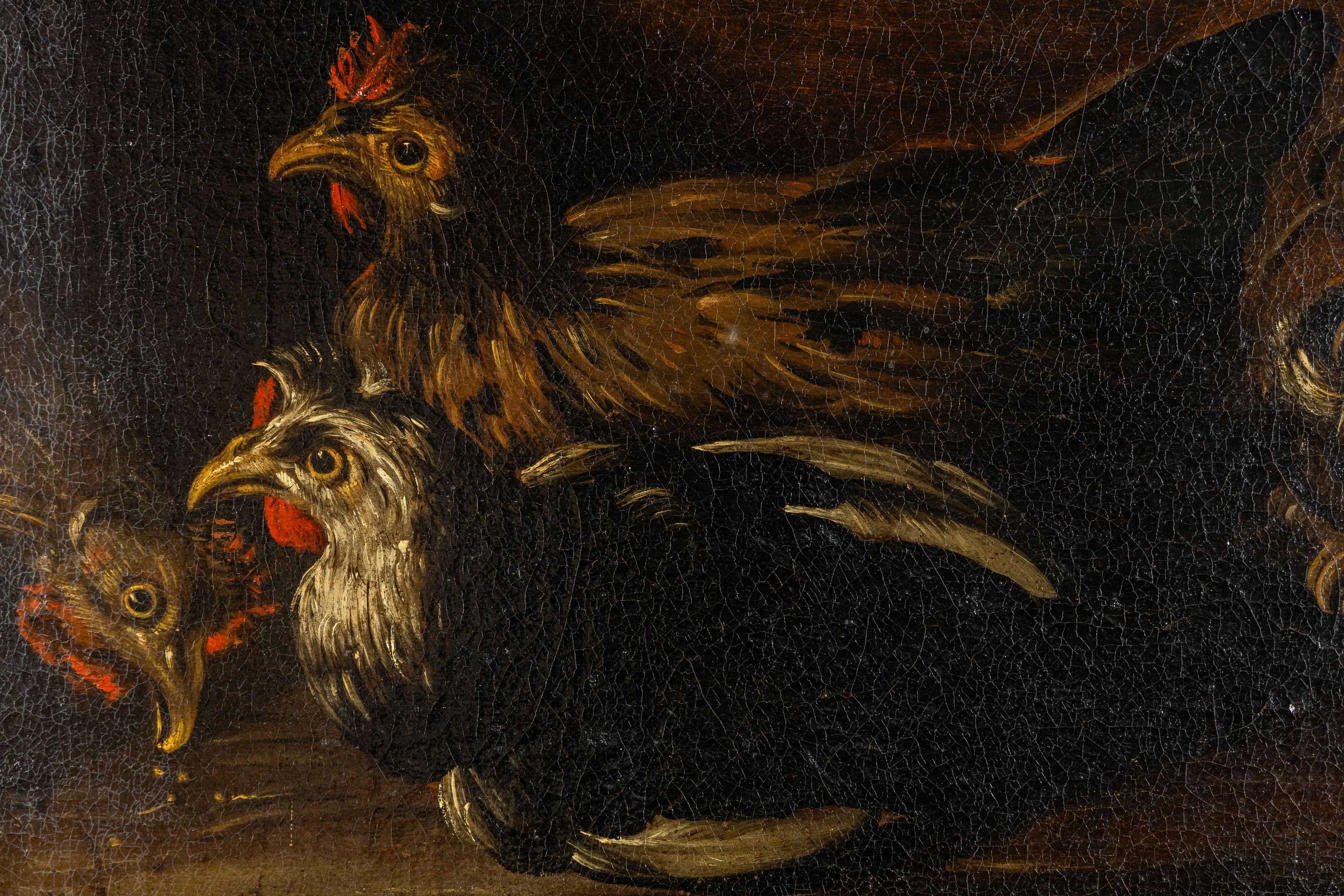 Jacob van de Kerckhoven | Still Life with Chickens and Pigeons (17 ...