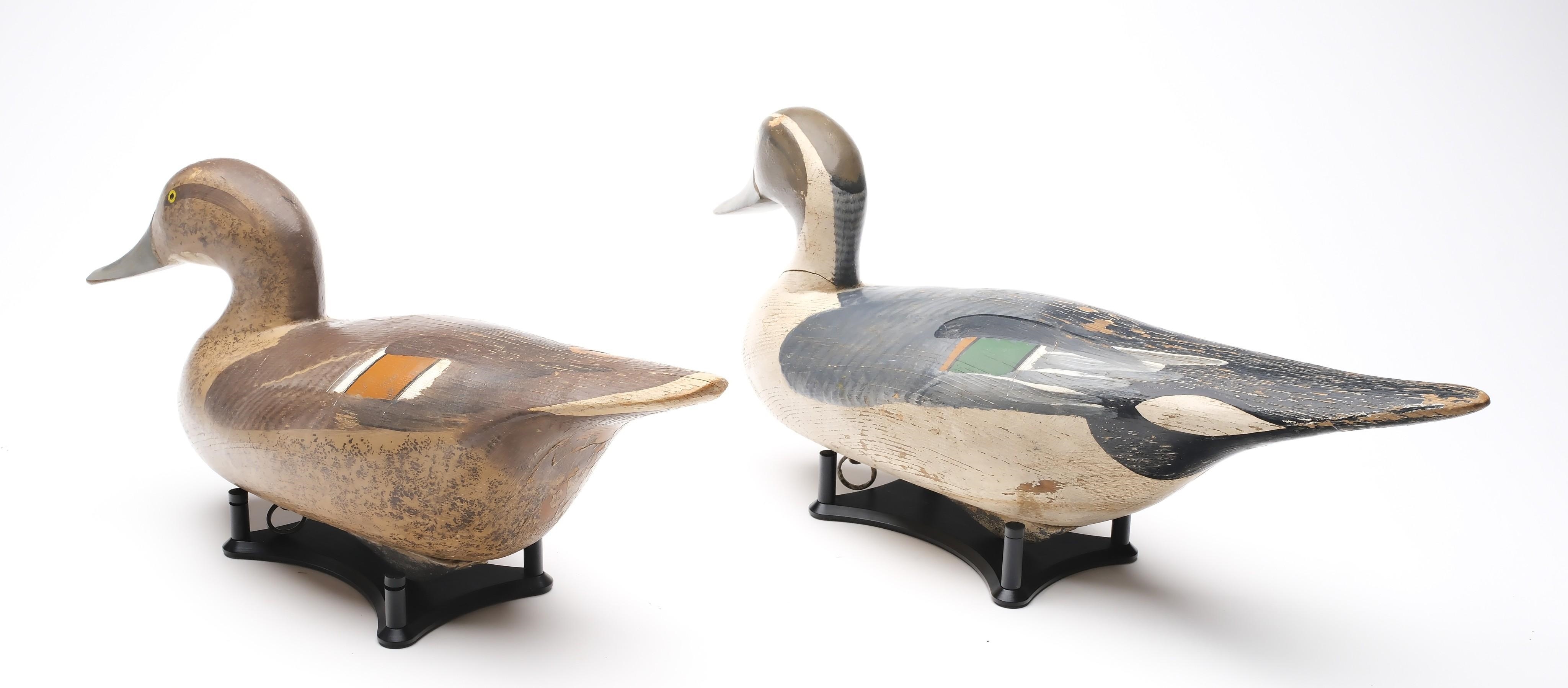 Robert Madison Mitchell | Rigmate pair of pintails with slightly turned ...