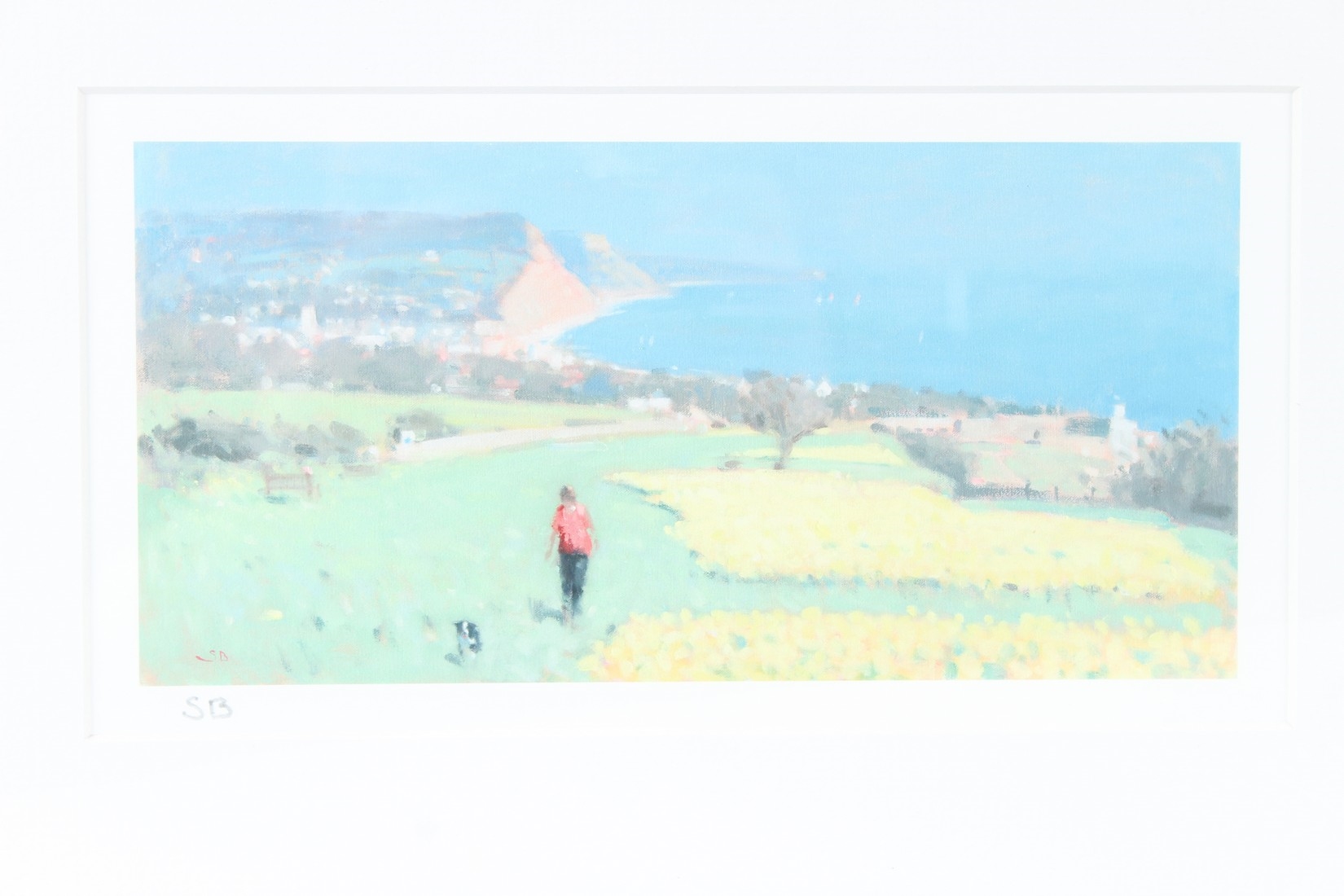 Stephen Brown | Cliff top view | MutualArt