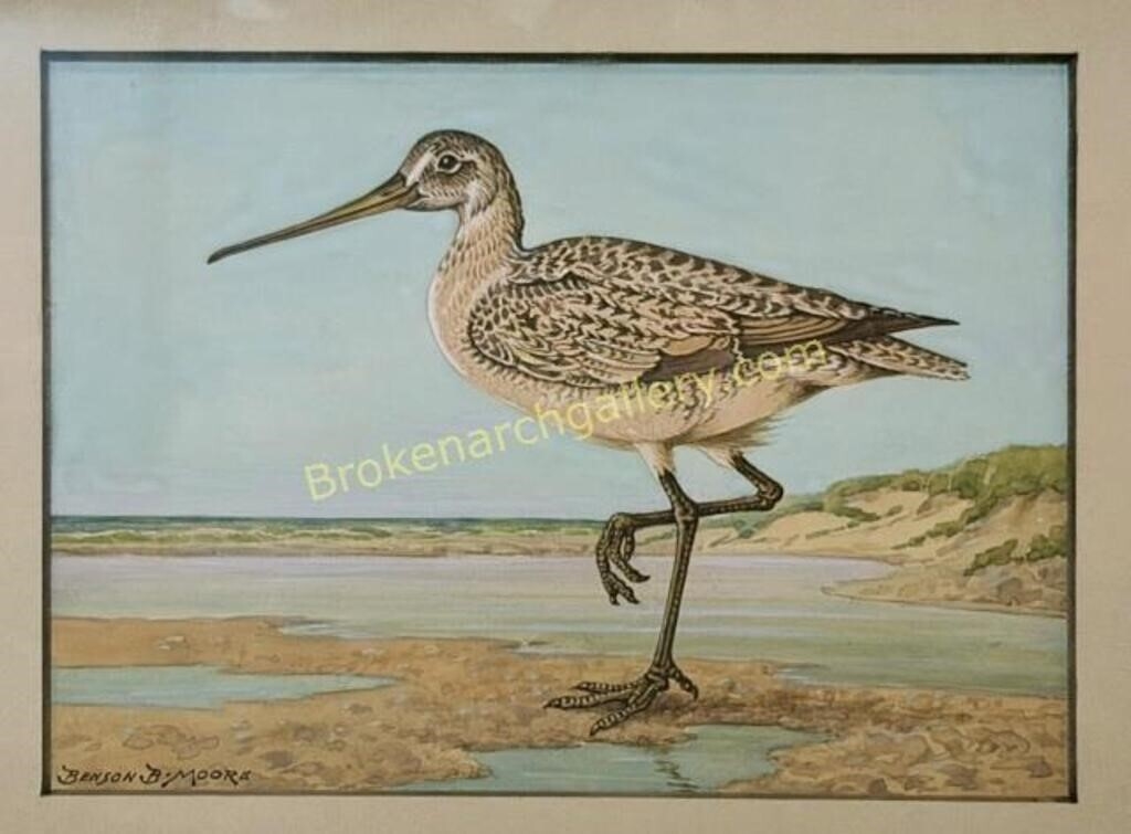 Benson Bond Moore | Marbled Godwit (1912) | MutualArt