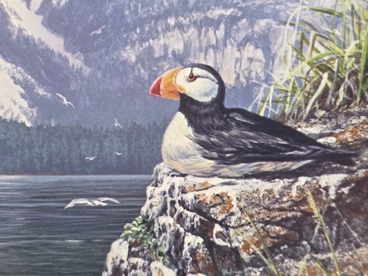 Ed Tussey | Puffins | MutualArt