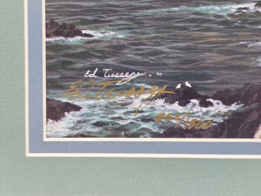 Ed Tussey | Puffins | MutualArt