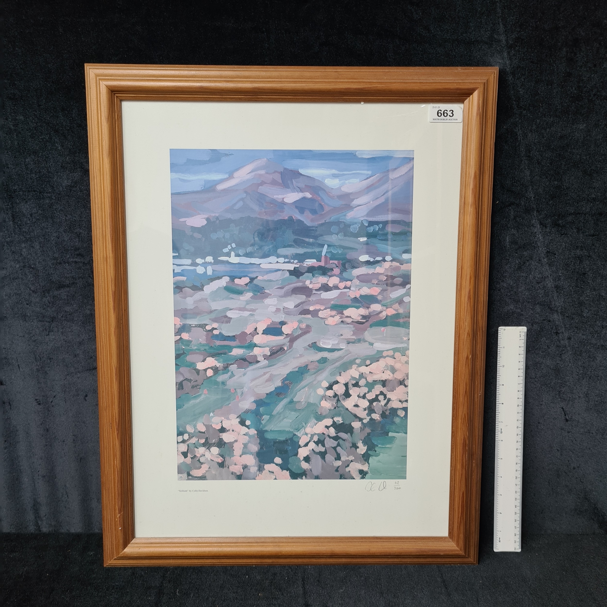 Colin Davidson | Solitude | MutualArt