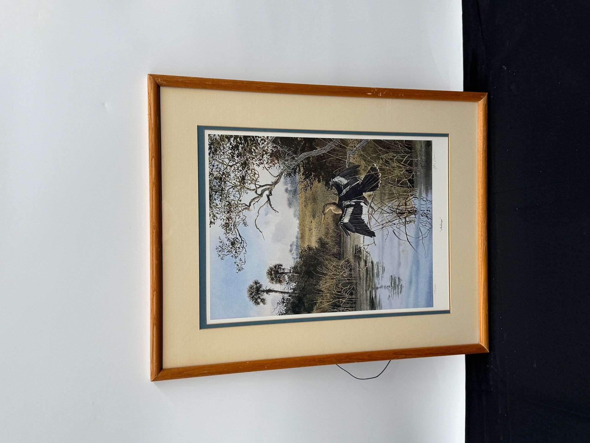 Phil Capen | Anhinga | MutualArt