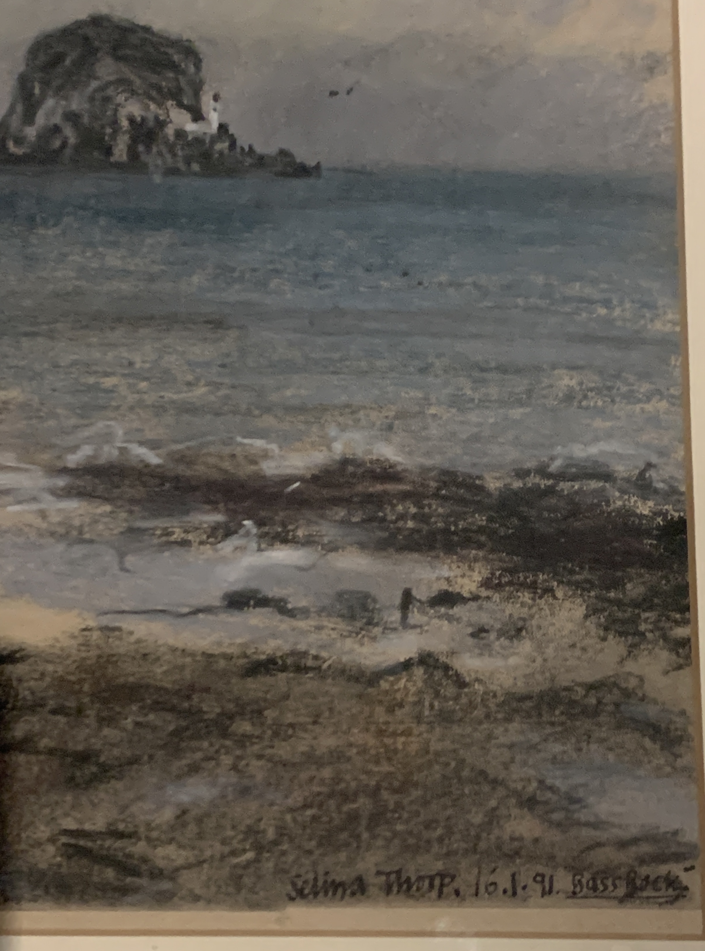 Selina Thorp | Bass Rock (91) | MutualArt