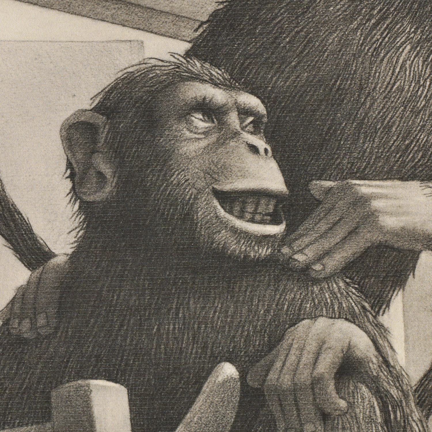Chris Van Allsburg | Jumanji | MutualArt