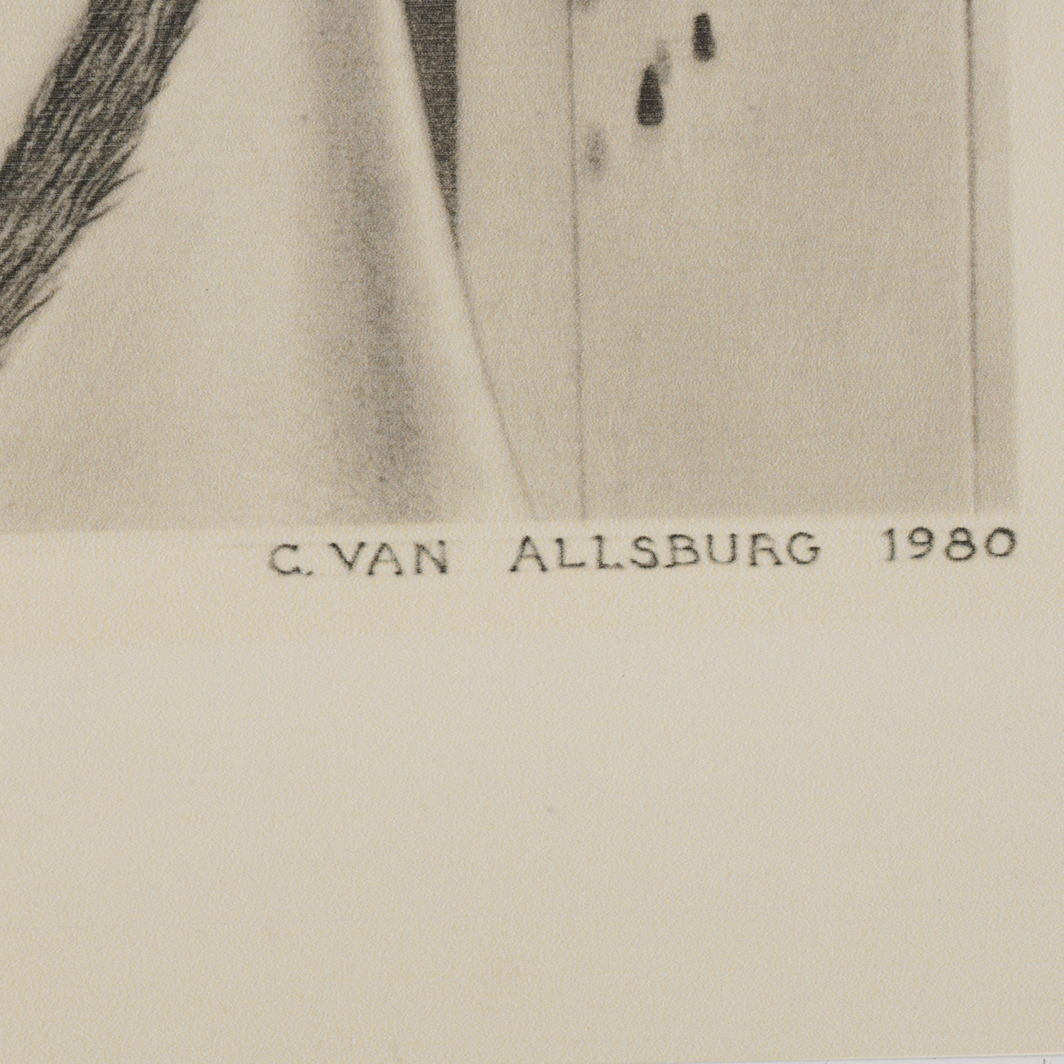 Chris Van Allsburg | Jumanji | MutualArt