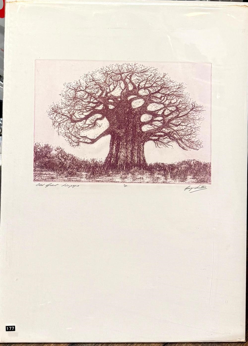 George Soutter | Old Giant Limpopo | MutualArt