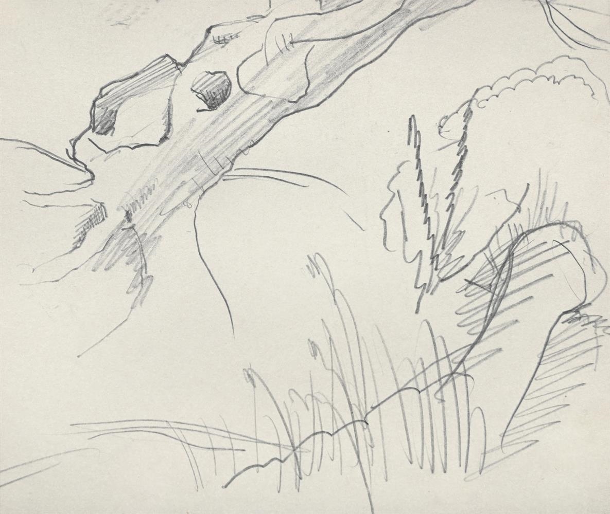 Dora Carrington | STUDIES OF NATURAL FORMS | MutualArt