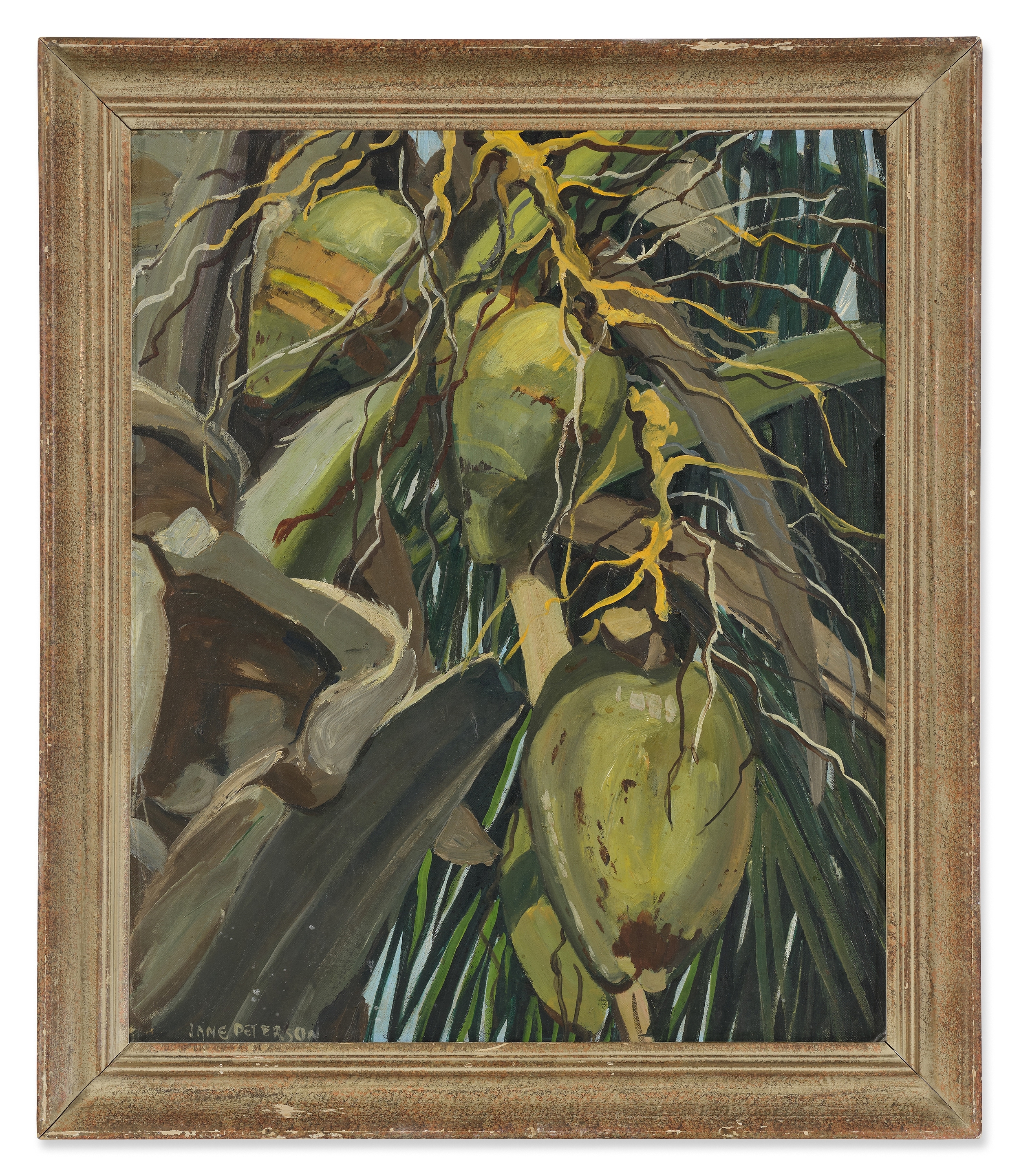 Jane Peterson | Coconuts (1876 - 1965) | MutualArt