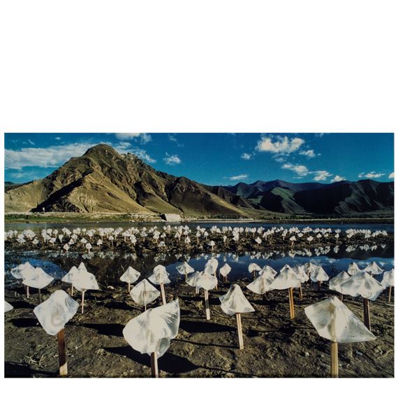 Yin Xiuzhen | Living Water (1996) | MutualArt