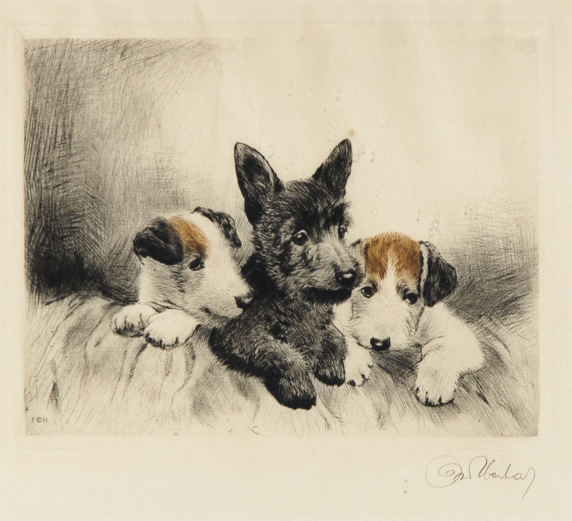 Curt Meyer-Eberhardt | TERRIERS | MutualArt