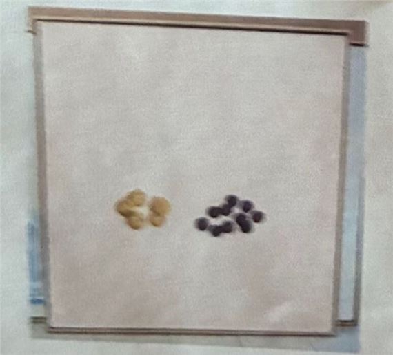 Lorraine Peltz | Nature morte, Luck | MutualArt
