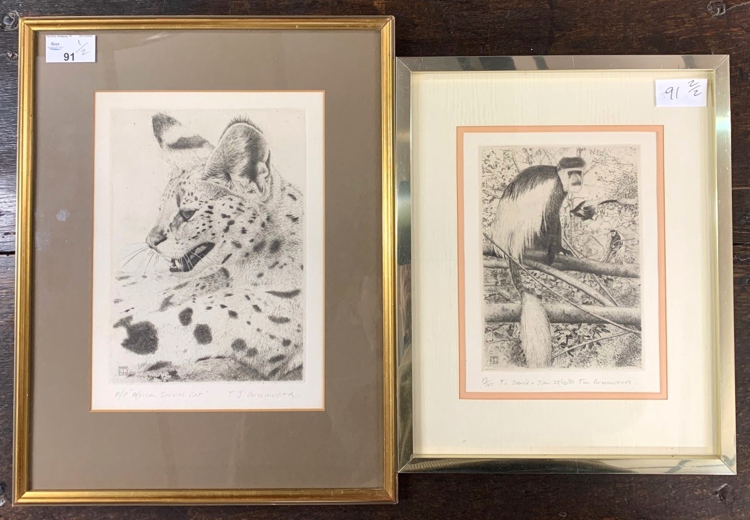 Timothy John Greenwood | Africa Serval Cat | MutualArt