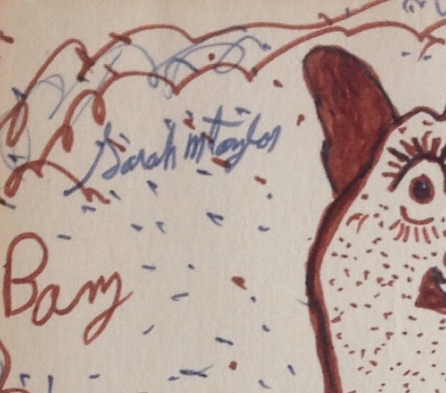 Sarah Mary Taylor | Outsider Folk Art Drawing (1990 - 1999) | MutualArt