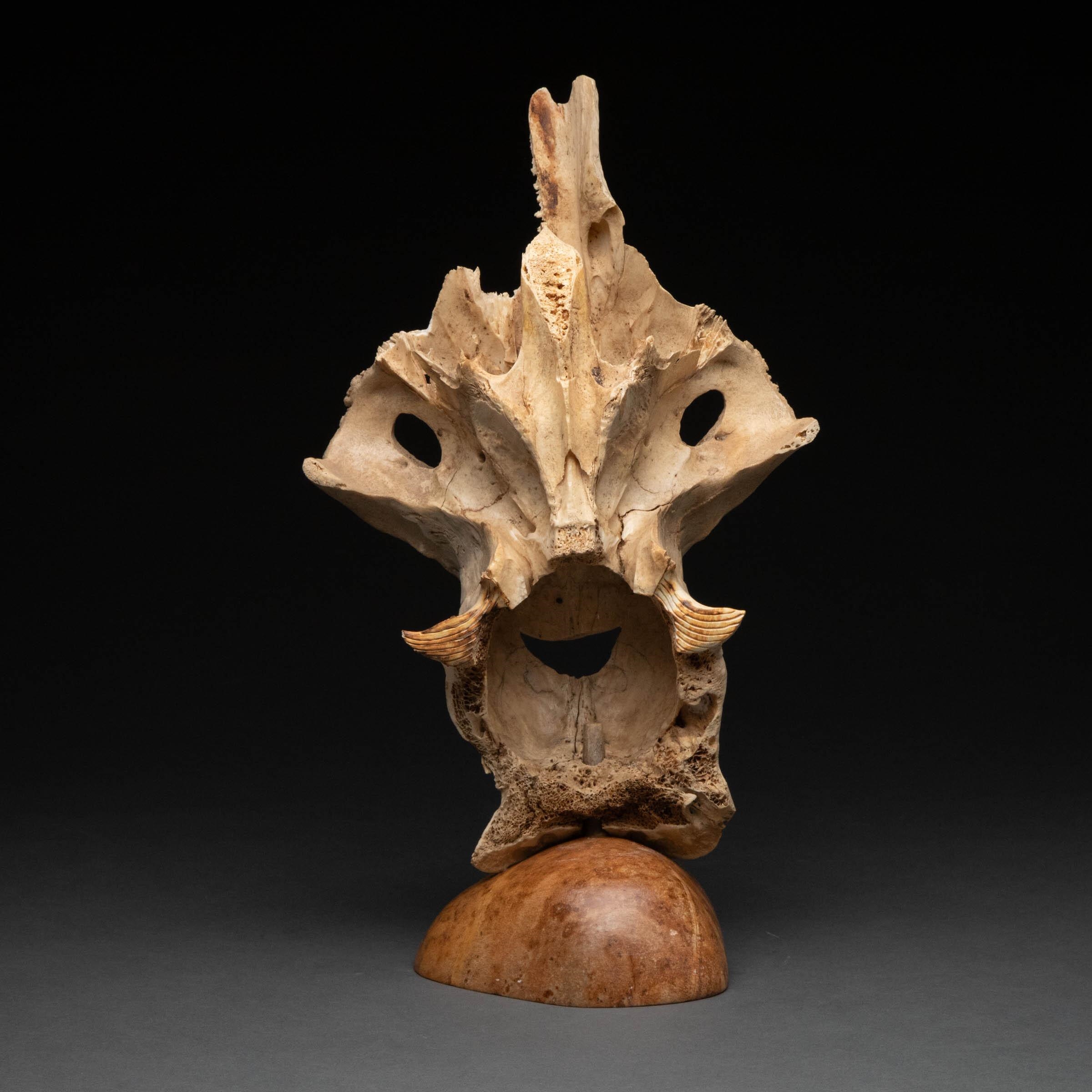 Randy Henry | SPIRIT (1999) | MutualArt