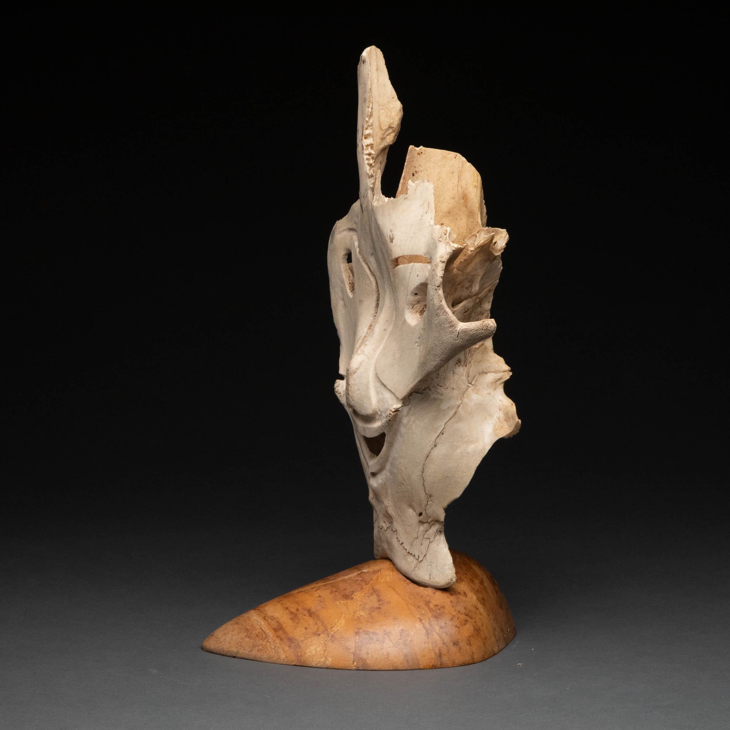 Randy Henry | SPIRIT (1999) | MutualArt
