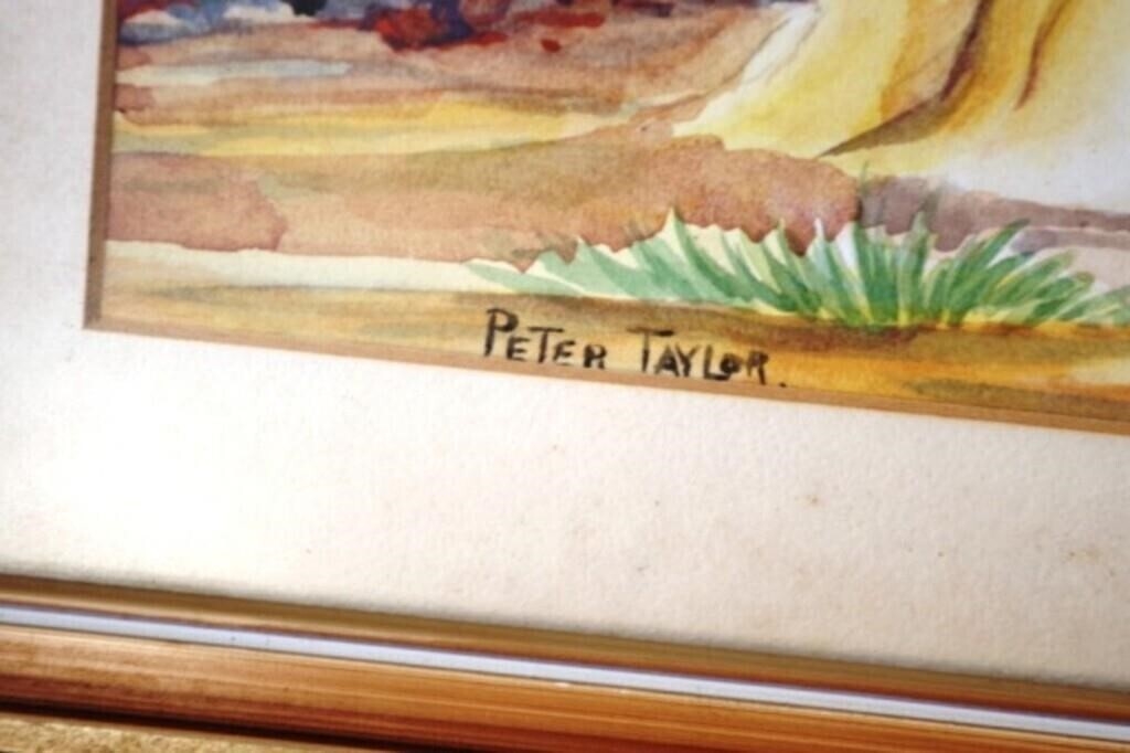 Peter Taylor Tjutjatja | Central Australian Landscape | MutualArt
