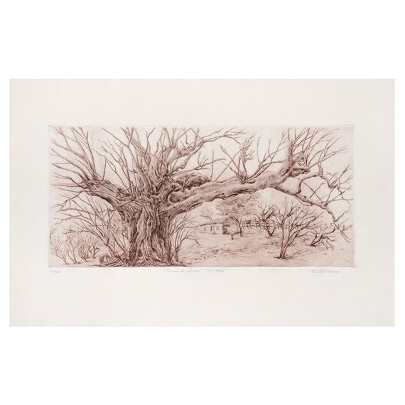 Nicolás Moreno | Paisaje de Juchitán | MutualArt