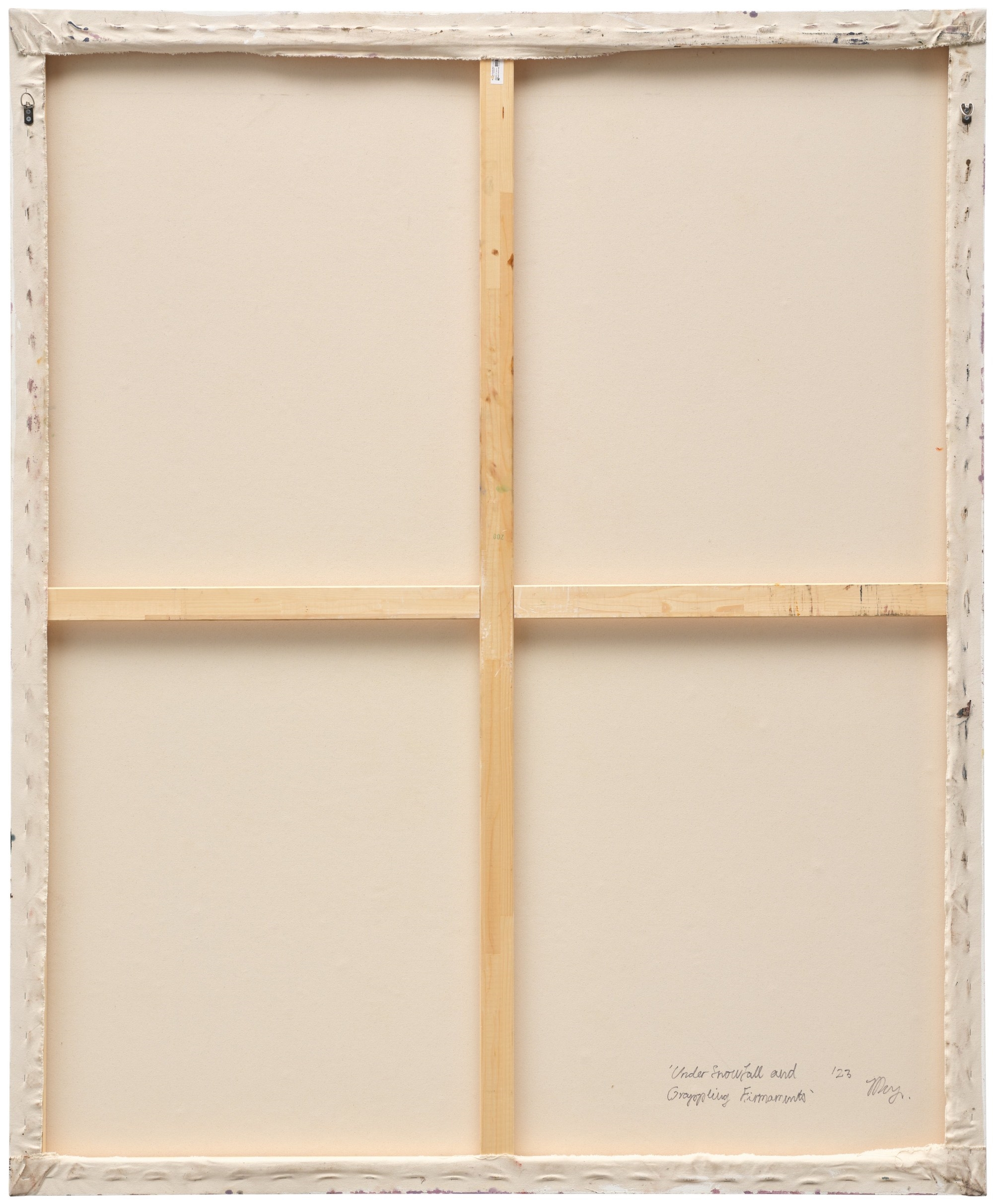 Joshua Raz | Under Snowfall and Grappling Firmaments (2023) | MutualArt