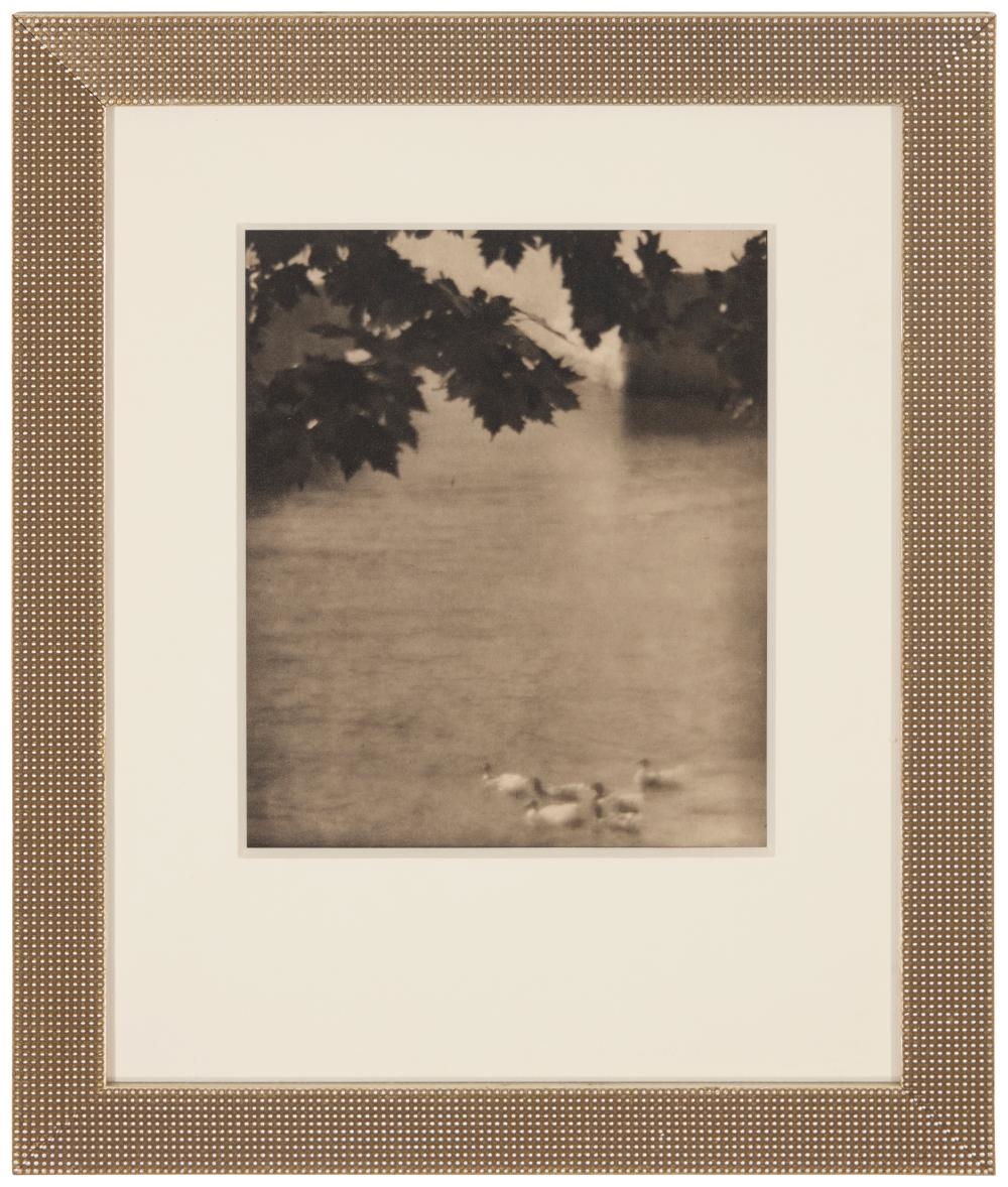Karl Struss | Ducks on Lake Como, plate I from Camera Work, issue 38 ...