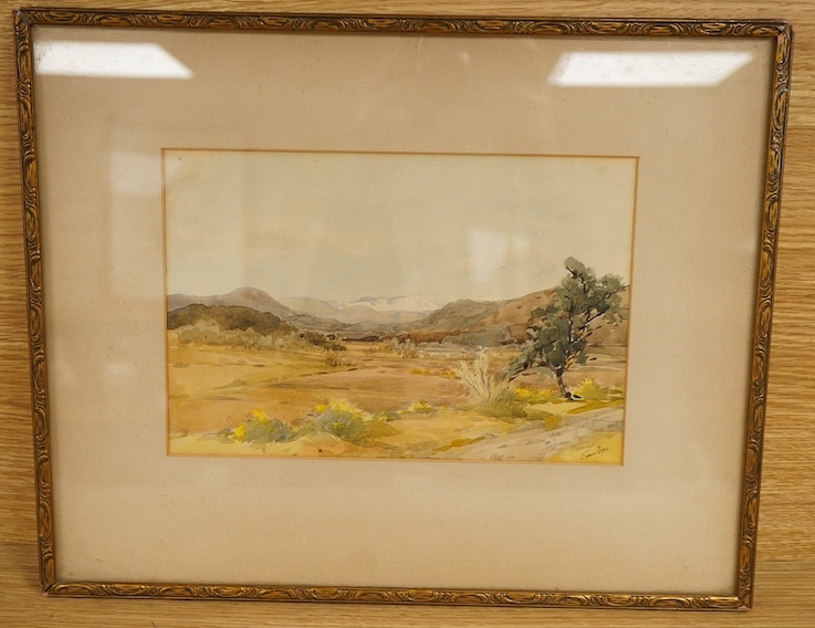 Sam Pope | Expansive landscape view | MutualArt